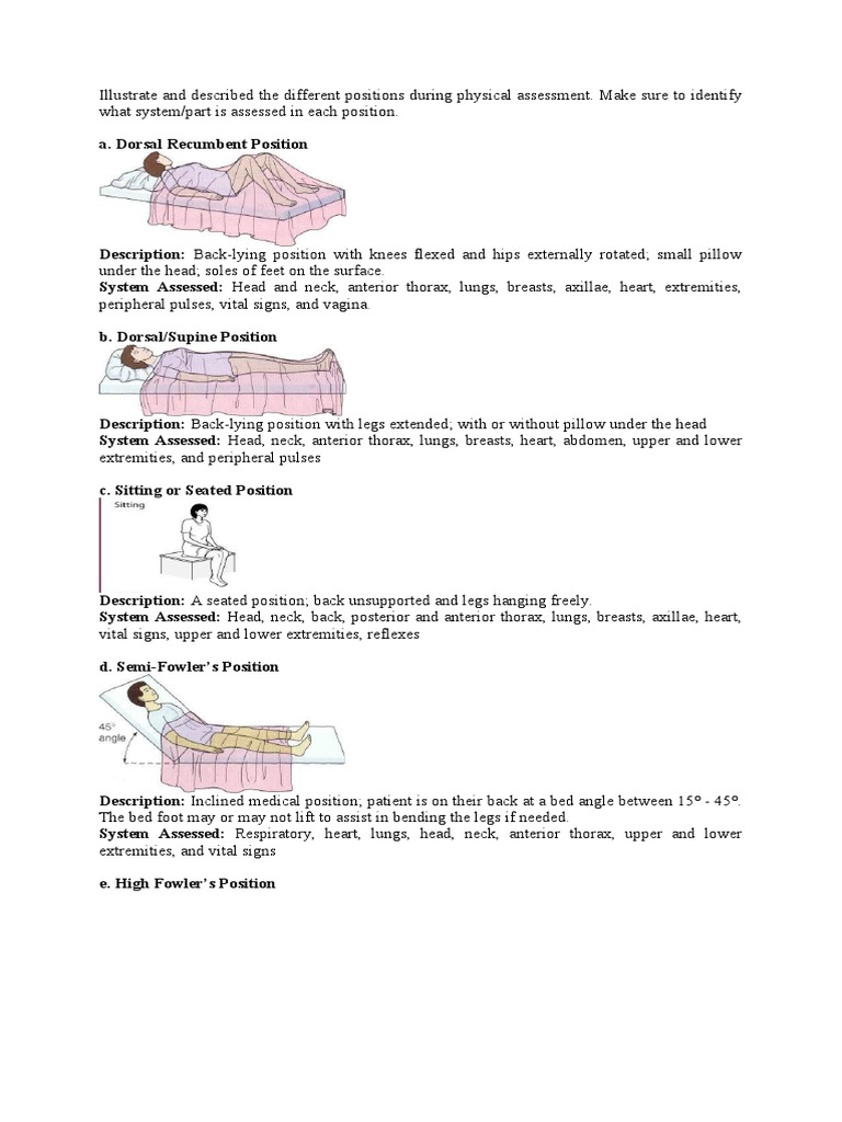 Physical assessment positions and systems assessed | PDF | Anatomical ...