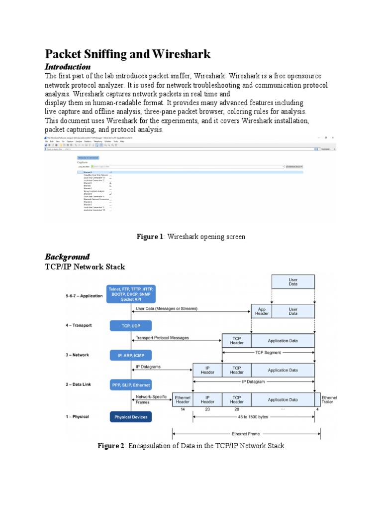 Packet Sniffing and Wireshark Lab For Residency | PDF | Internet Protocol Suite | Internet Protocols