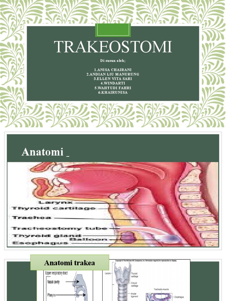 Trakeostomi: Prosedur dan Perawatan | PDF