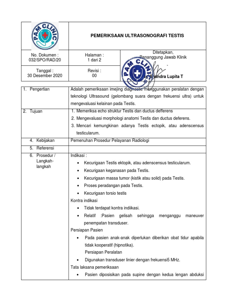 Prosedur USG Testis dan Indikasinya | PDF