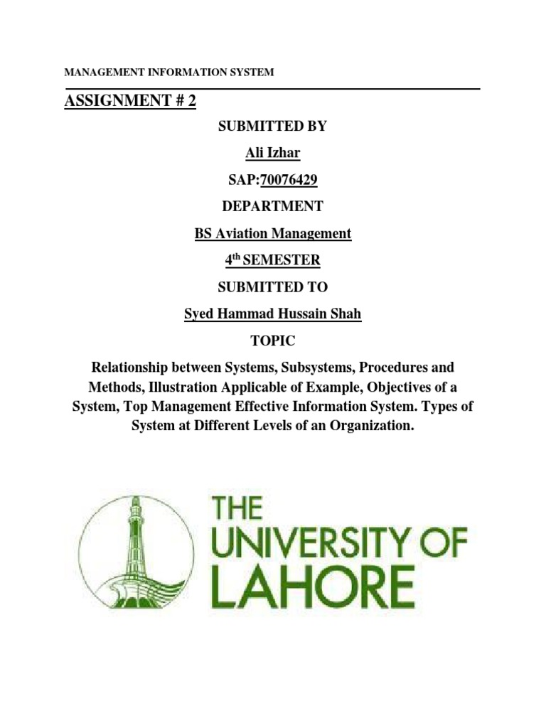 Assignment # 2: Management Information System | PDF | System | Information System