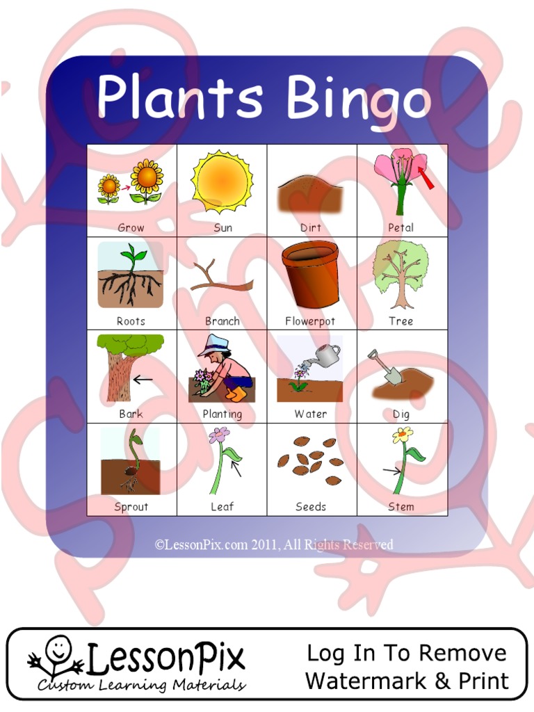 Plants+Bingo Material 1856214 | PDF | Trees | Plant Stem