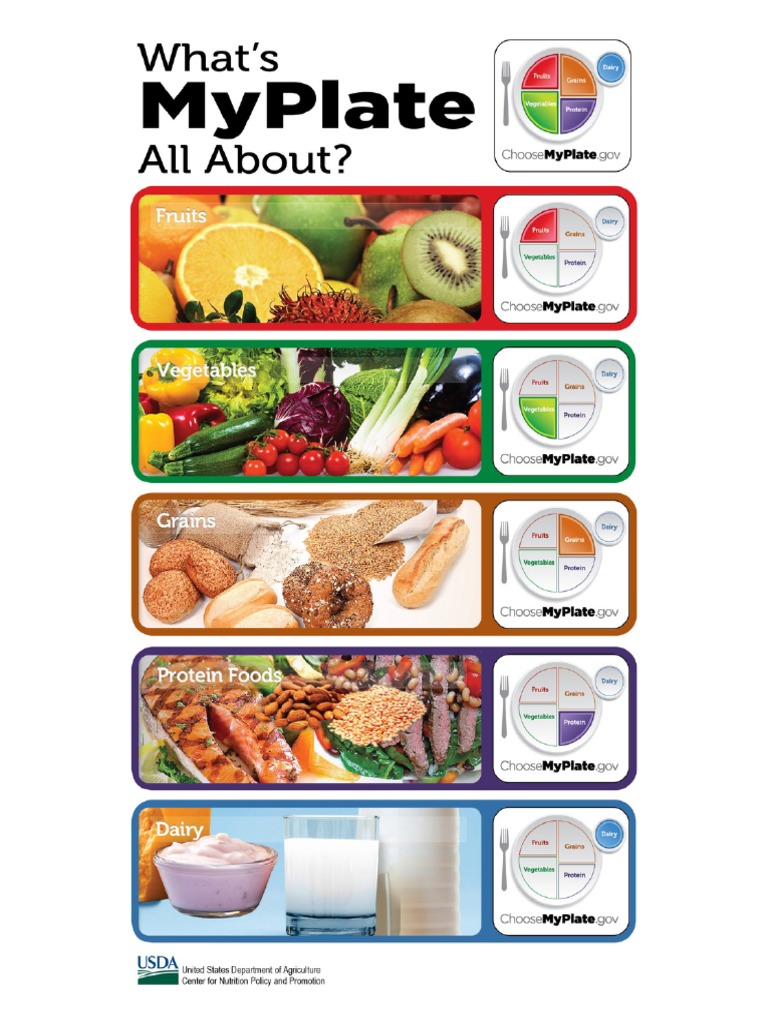 My Plate Infographic PDF | PDF
