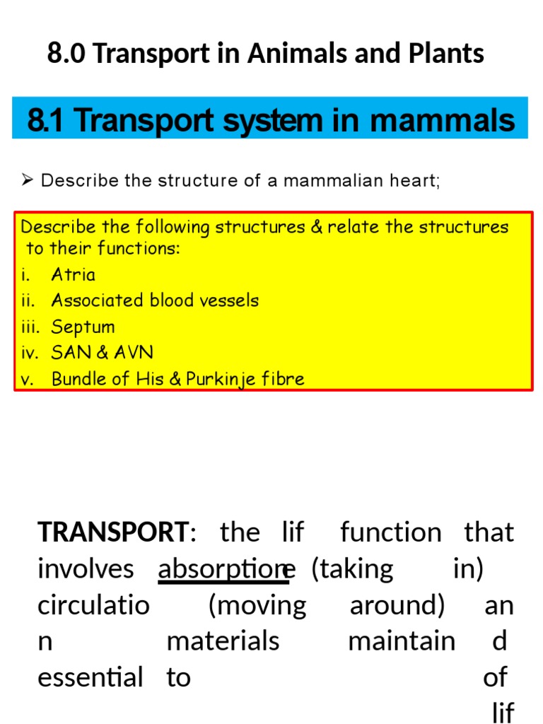 8.1a. Structure of Mammalian Heart | PDF