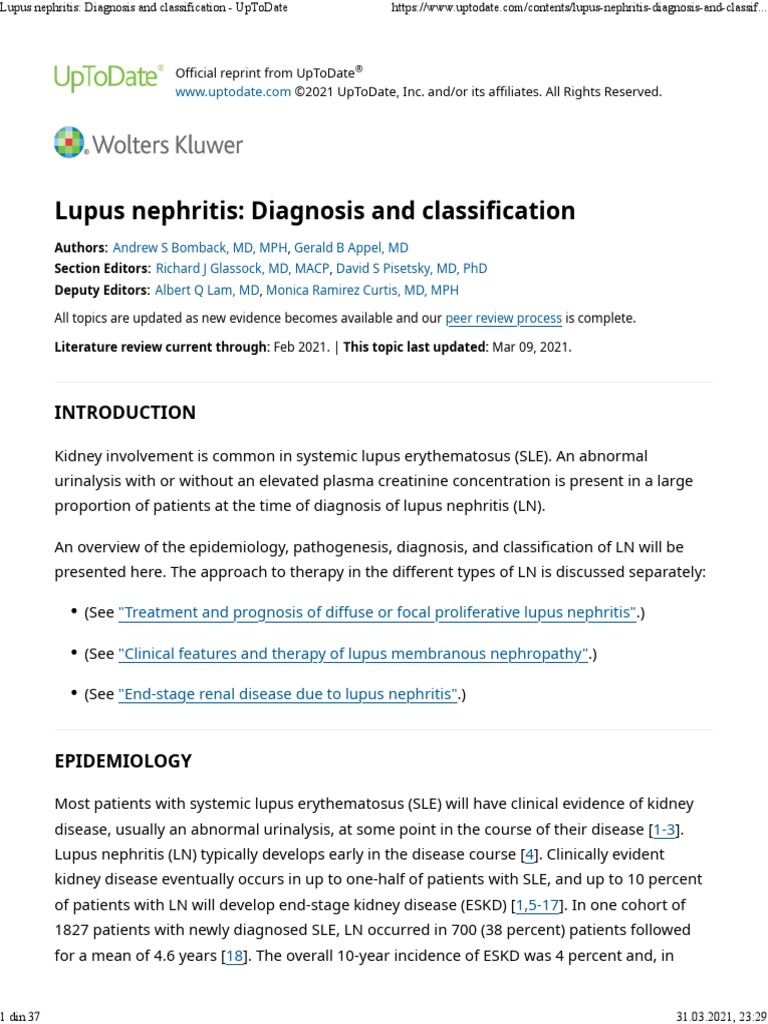 Lupus Nephritis Diagnosis and Classification | PDF | Kidney Disease ...