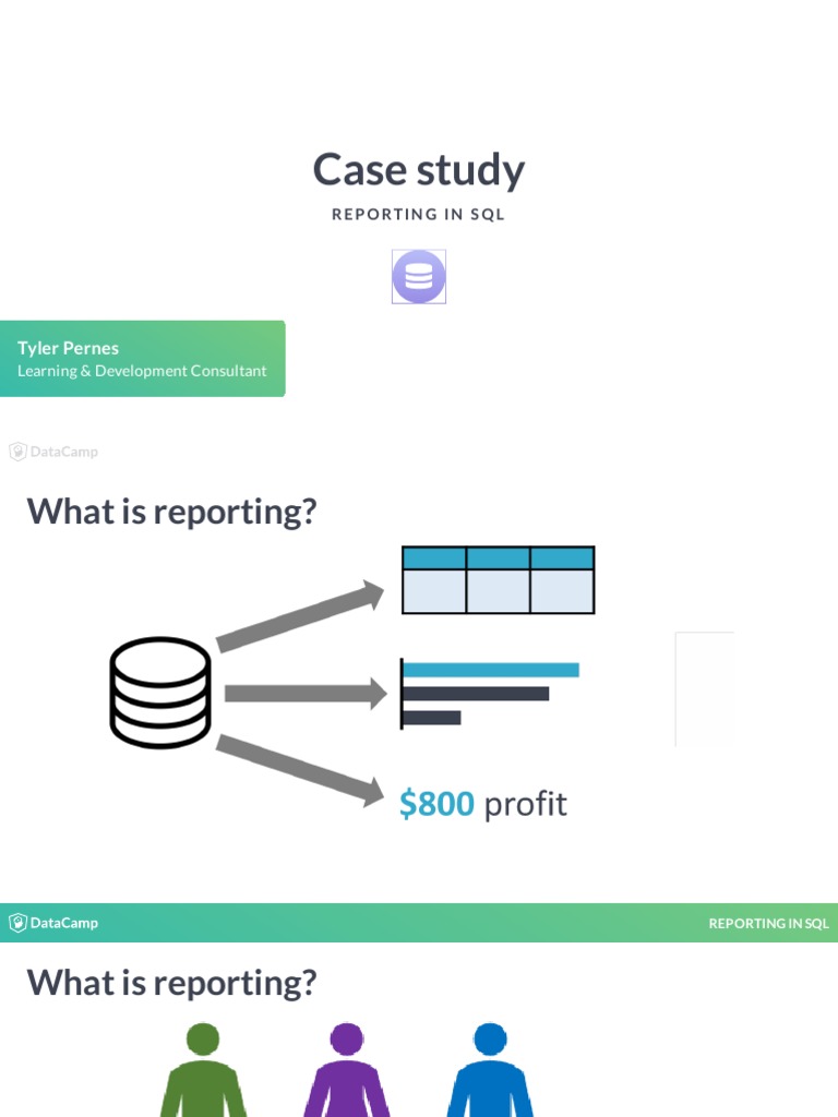 Case Study: Tyler Pernes | PDF | Sql | Information Technology Management