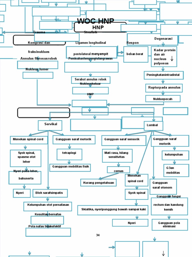 PDF Woc hnp1 DD | PDF