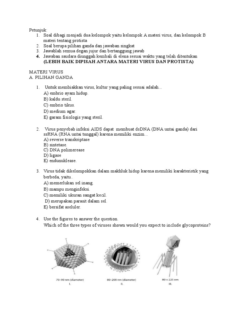 Soal VPJ Edit Final | PDF | Reverse Transcriptase | Virus