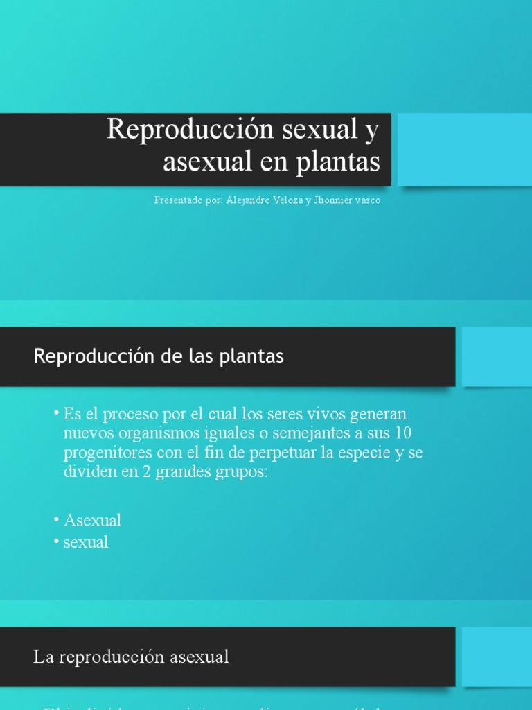 Reproducción Sexual y Asexual en Plantas | PDF