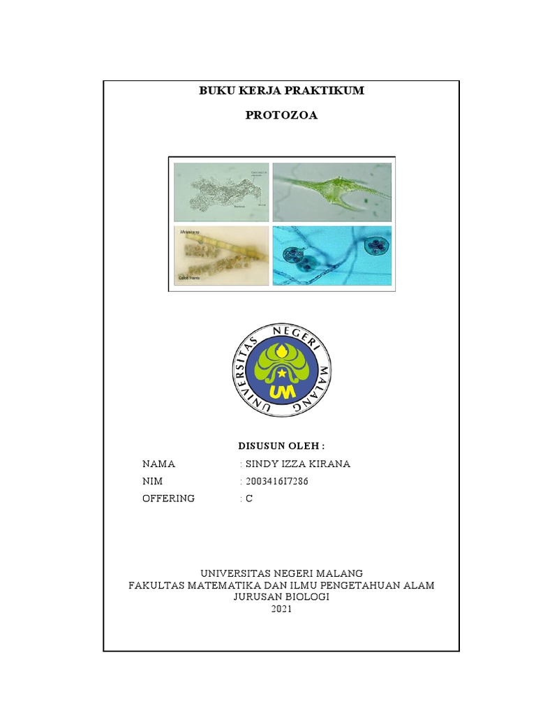 Buker Gregarina Sp. Apicomplexa | PDF | Sains & Matematika