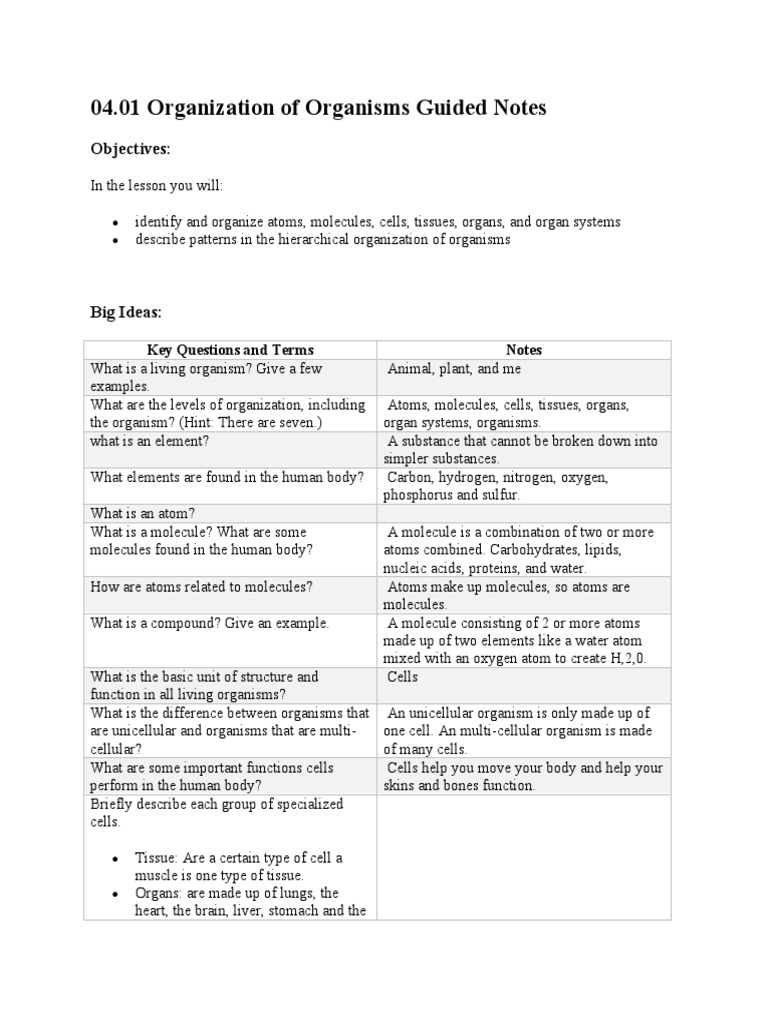 Levels of Biological Organization | PDF | Organisms | Human Body