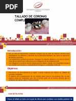 Comparativa de Coronas Metal Porcelana | PDF | Odontología | Materiales