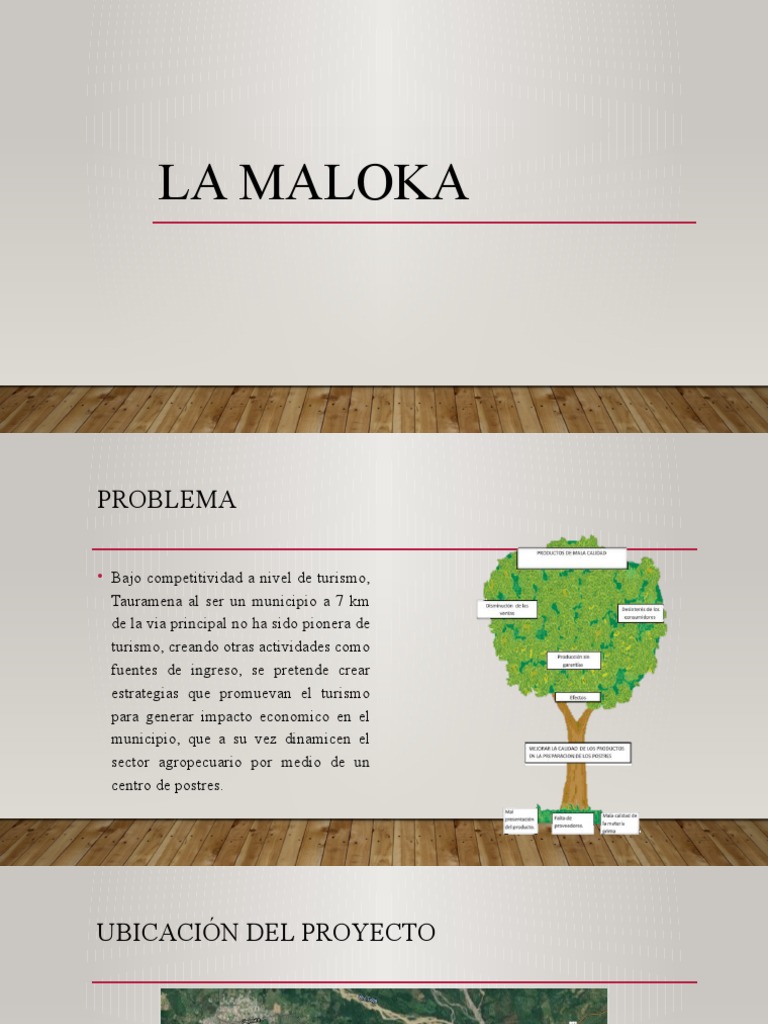 Proyecto La Maloka | PDF