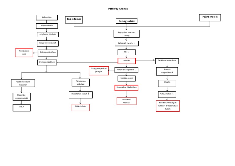 Pathway Anemia | PDF