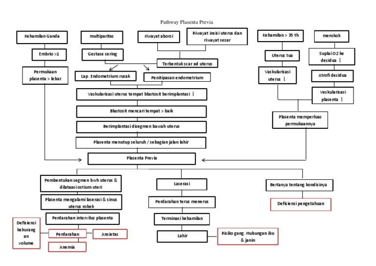 Pathway Plasenta Previa | PDF