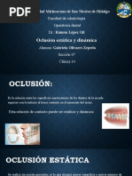 Canino Temporal Superior | PDF | Anatomia dental | Diente