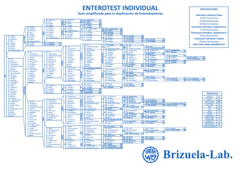 Guia de Enterotest | PDF