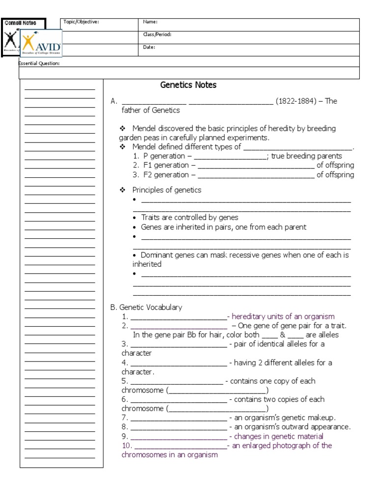 Genetics Basics and Vocabulary | PDF | Heredity | Dominance (Genetics)