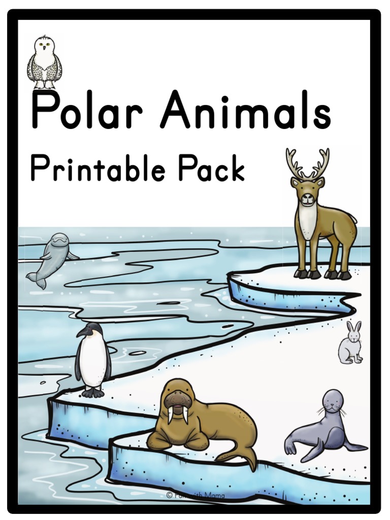 Polar Animals Printable Pack | PDF | Polar Bear | Fauna