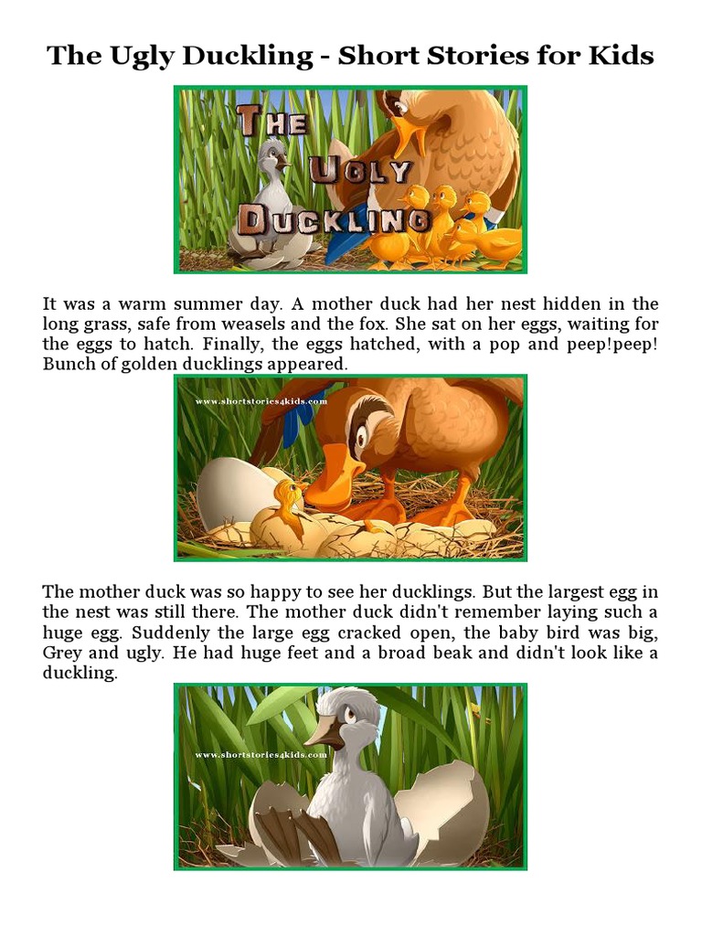 The Ugly Duckling: A Transformation Tale | PDF | Duck | Egg