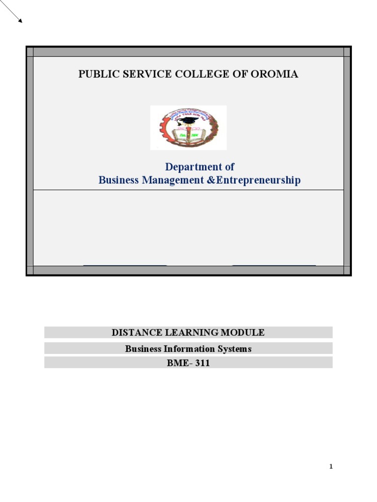 Business Information System.. | PDF | System | Information System