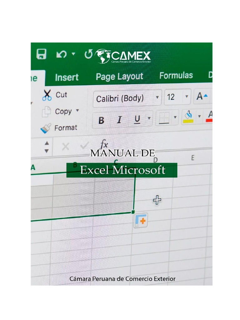 Manual De Camex De Excel Microsoft Pdf Microsoft Excel Básico