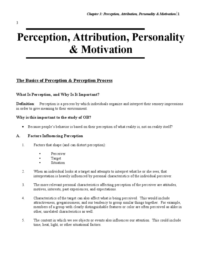Perception, Attribution, Personality & Motivation: The Basics of ...