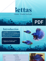 Anatomía y Fisiología de Los Peces Teleósteos | PDF | Vena | Pescado