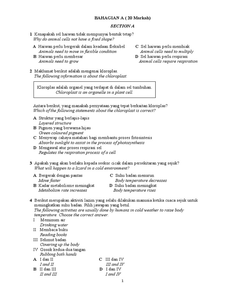 Sains Form 2 2019 | PDF | Chloroplast | Biology