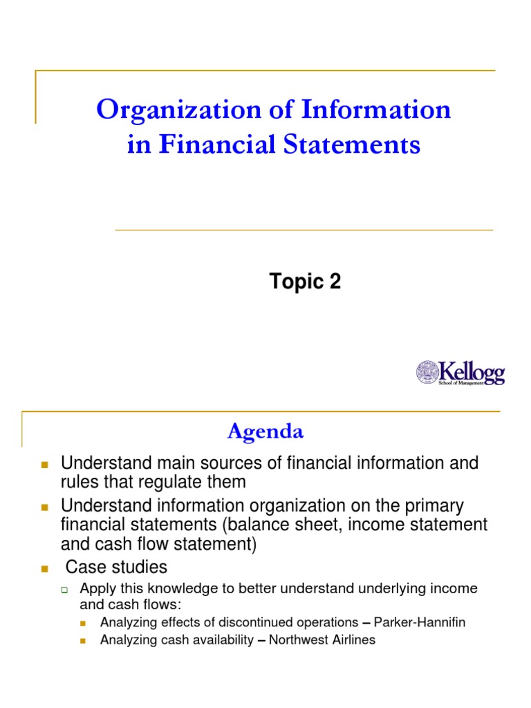 Financial Information Organization Overview | PDF | Financial ...