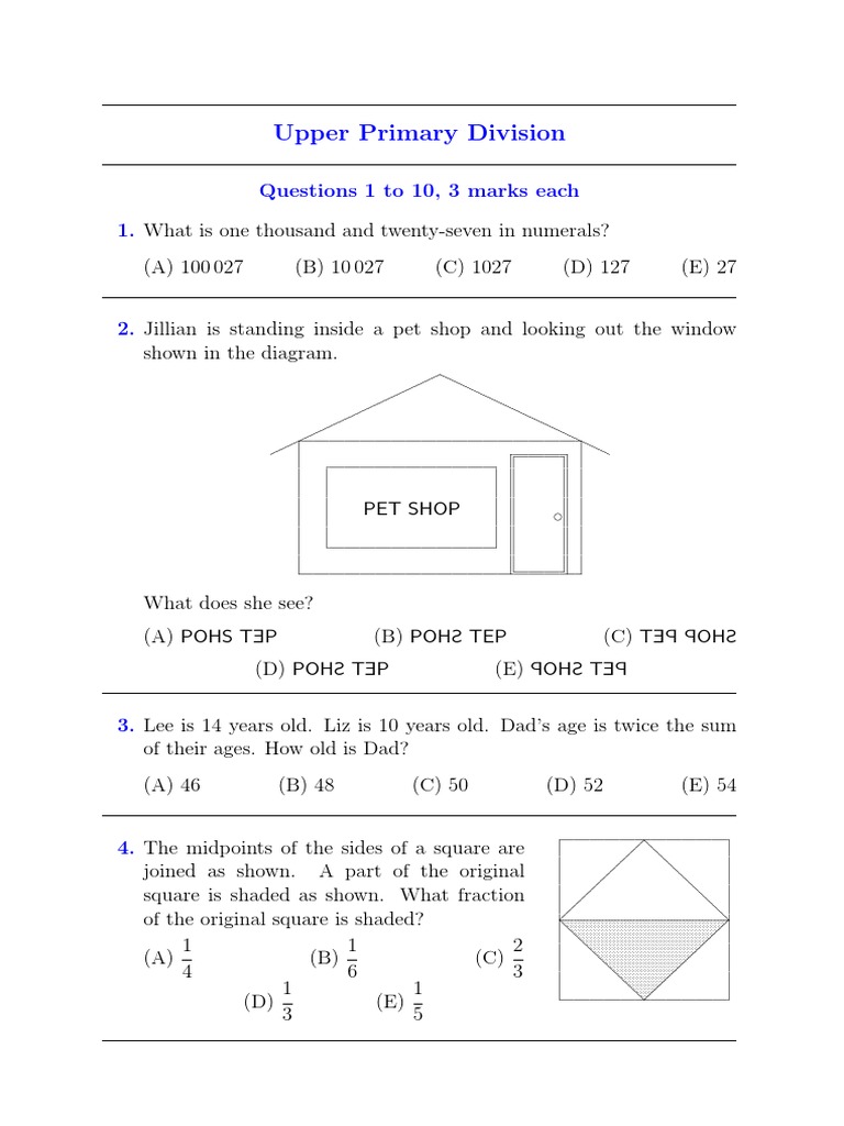 2010 AMC Test Paper Grade 5 | PDF