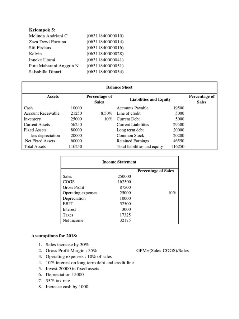 Pro Forma Financial Statements Overview | PDF | Equity (Finance ...
