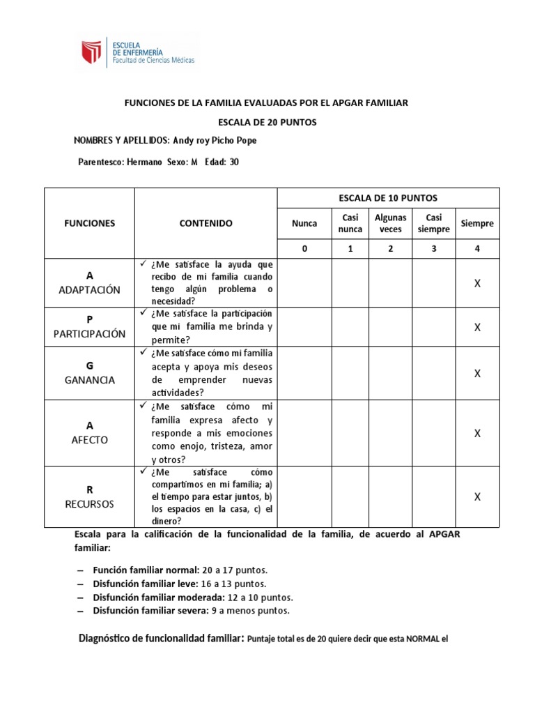 Apgar Familiar | PDF
