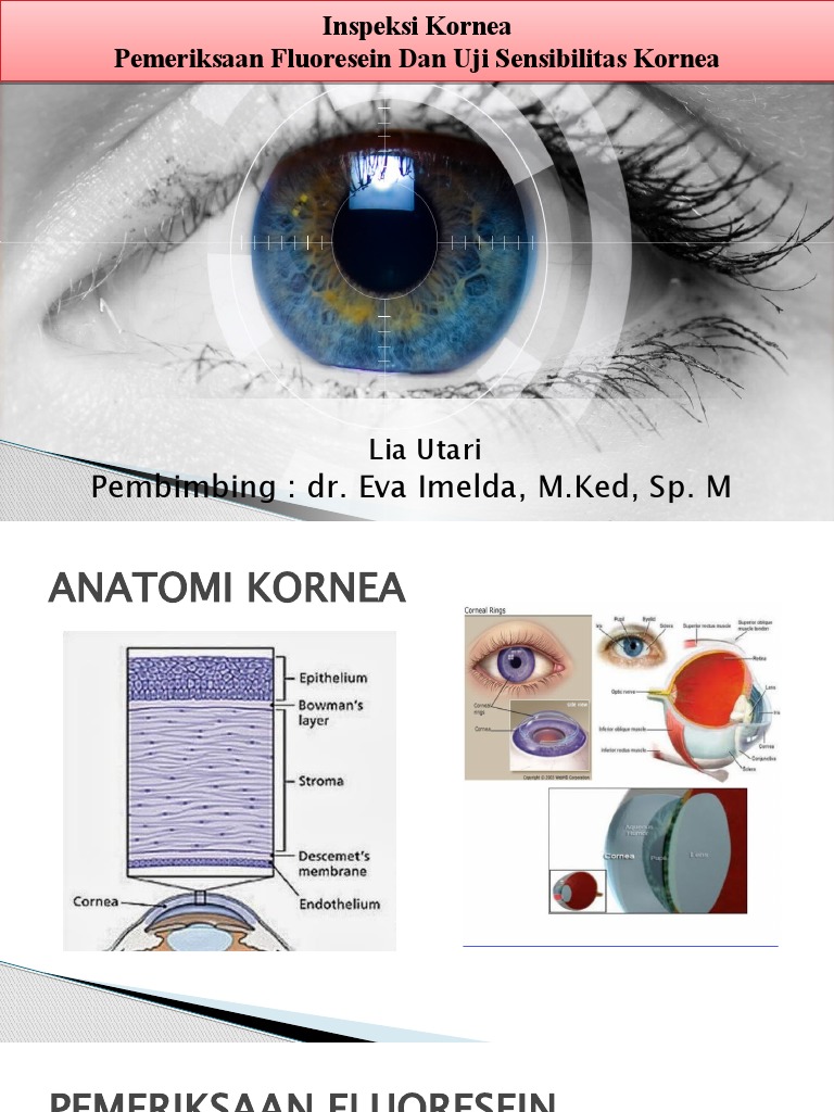 Inspeksi dan Pemeriksaan Kornea | PDF