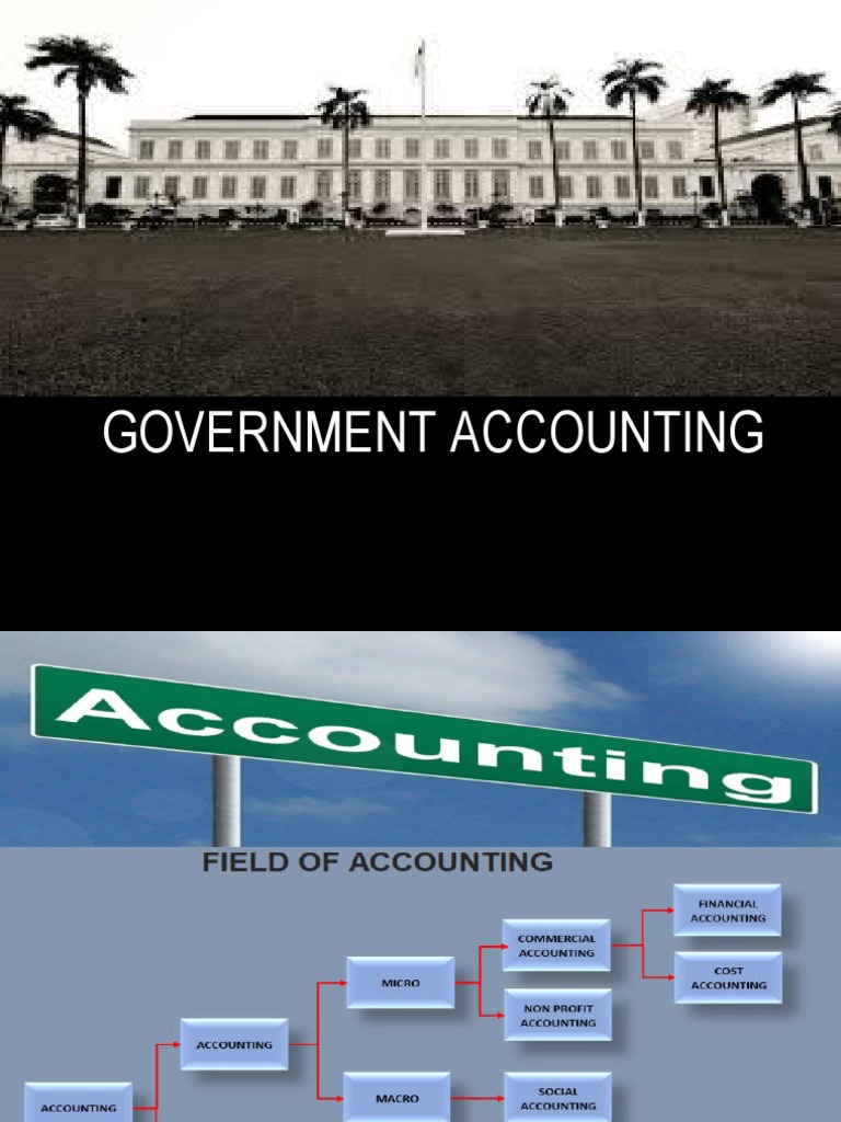 Government Accounting | PDF | Bookkeeping | Accounting