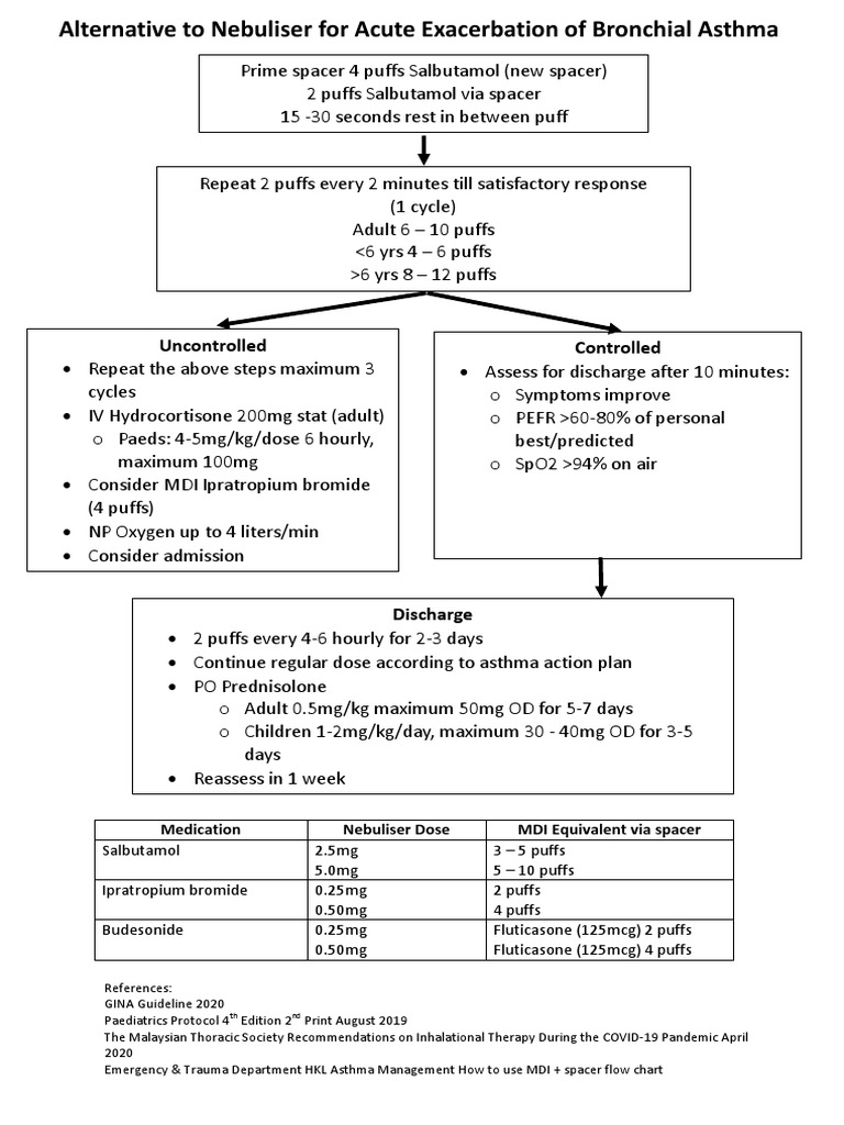 Flowchart For AEBA Using Spacer - Revised 7-4-2020 | PDF | Asthma | Therapy