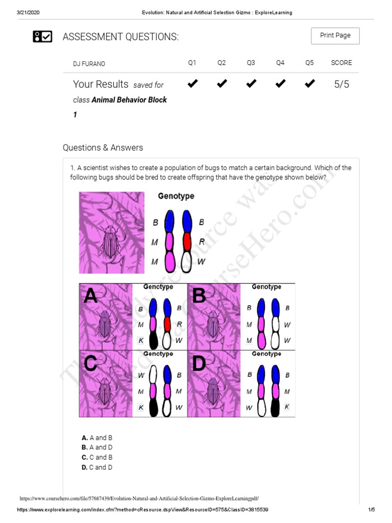 Mutation Rates in Bug Adaptation Study | PDF | Natural Selection ...