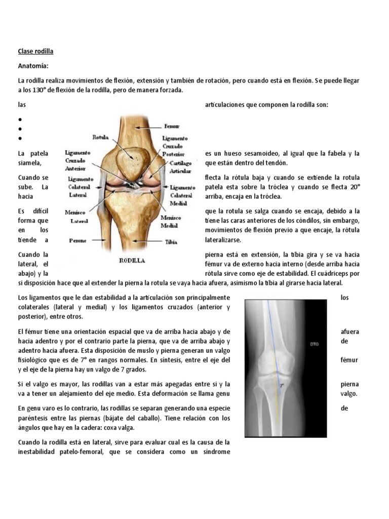 La anatomía y evaluación radiográfica de la rodilla | PDF | Rodilla ...