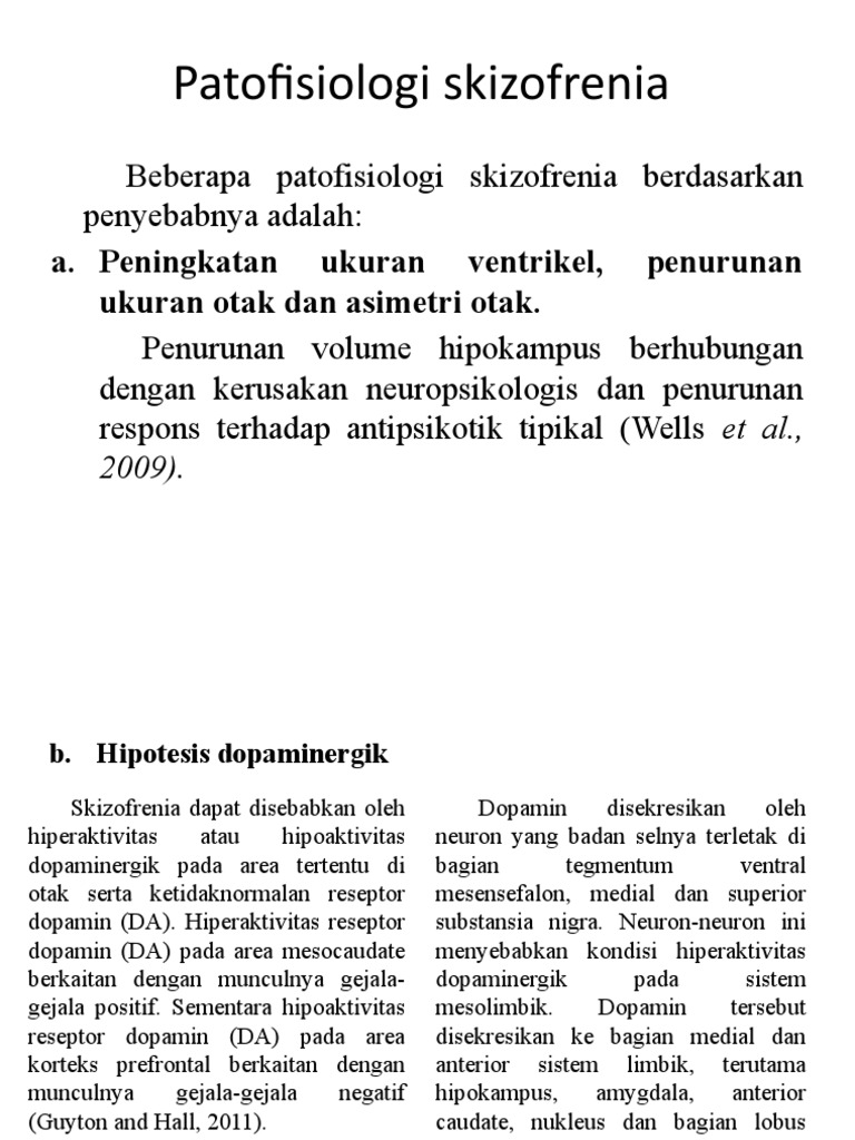Patofisiologi Skizofrenia | PDF