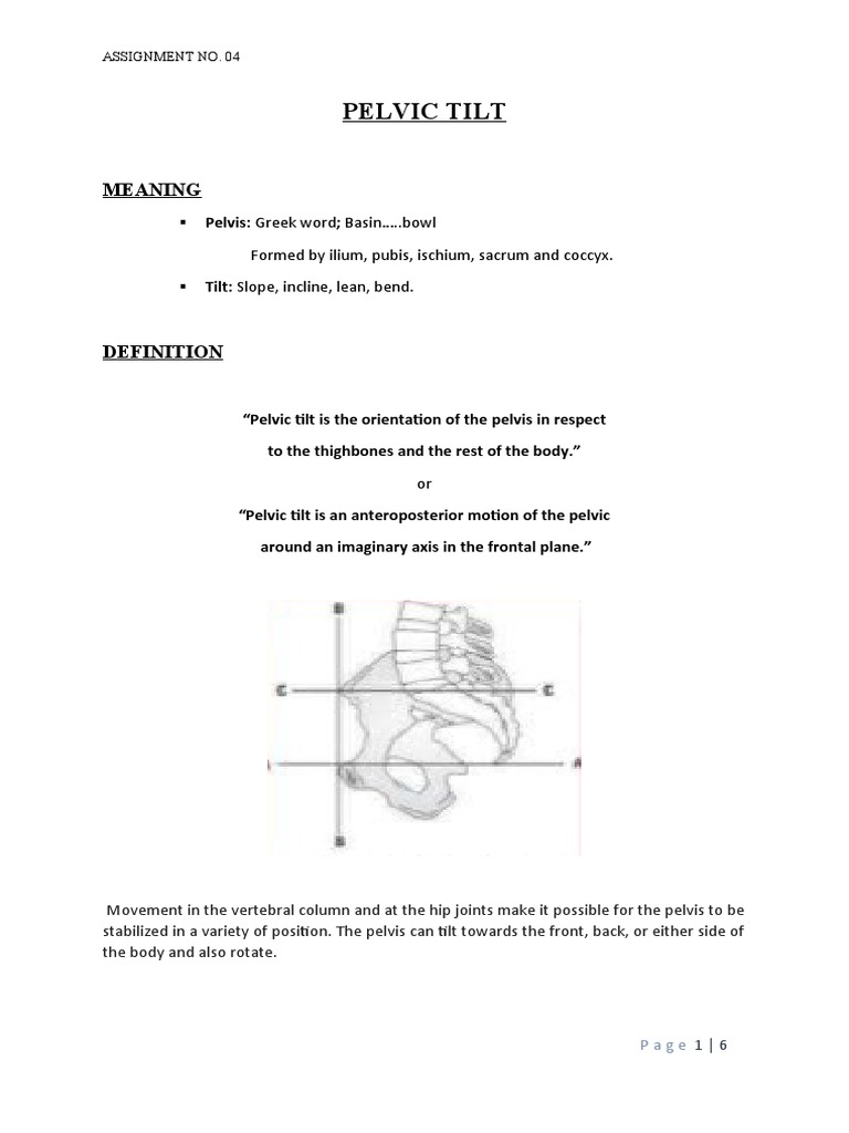 Pelvic Tilt | PDF | Pelvis | Hip