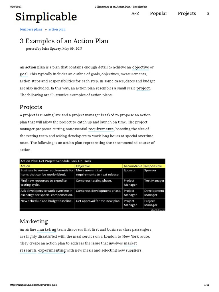 Action Plan Examples for Businesses | PDF | Goal | Scrum (Software ...