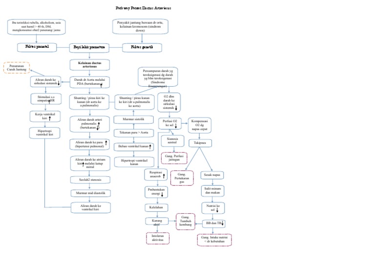 Pathway Patent Ductus Arteriosus | PDF