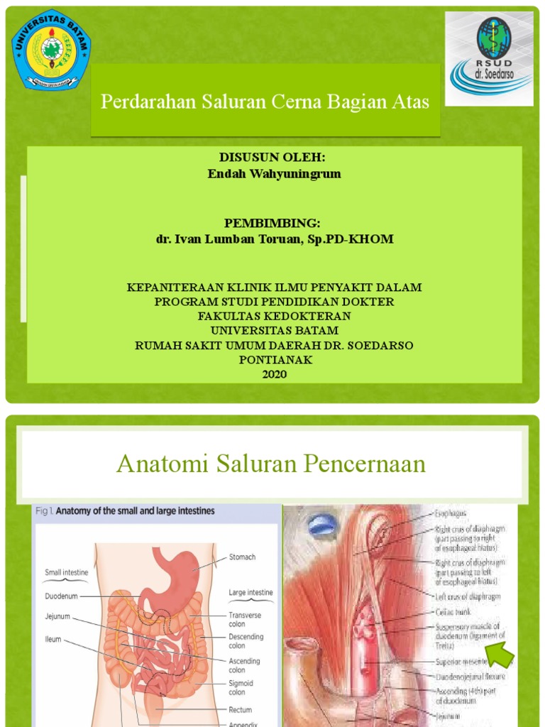 PSCBA | PDF