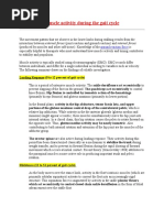 Walking and Gaits - Stages - TeachMeAnatomy | PDF | Human Leg | Walking