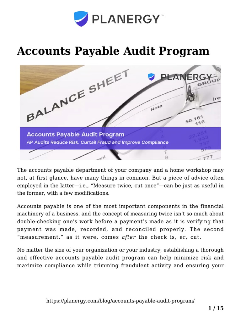 Accounts Payable Audit Program | PDF
