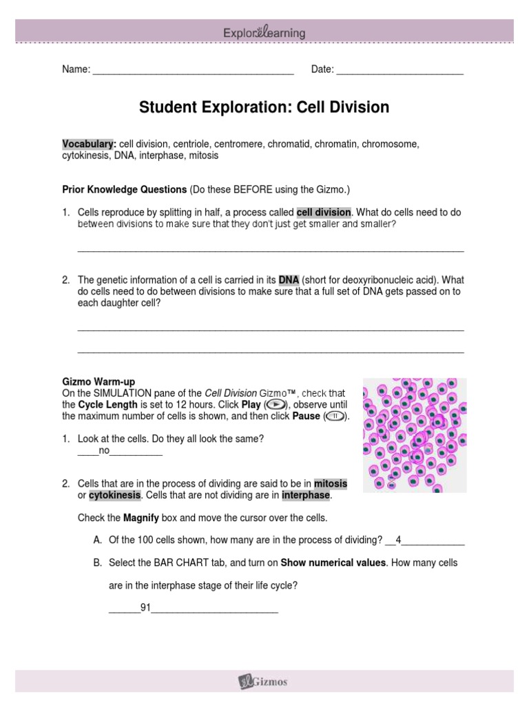 Celldivisionexplorelearningwendy Aiss Science 9 Compress | PDF ...