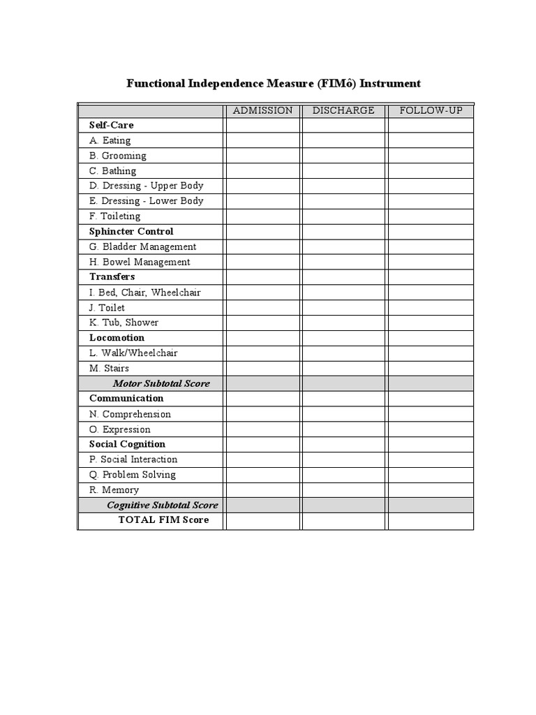 Functional Independence Measure112 | PDF