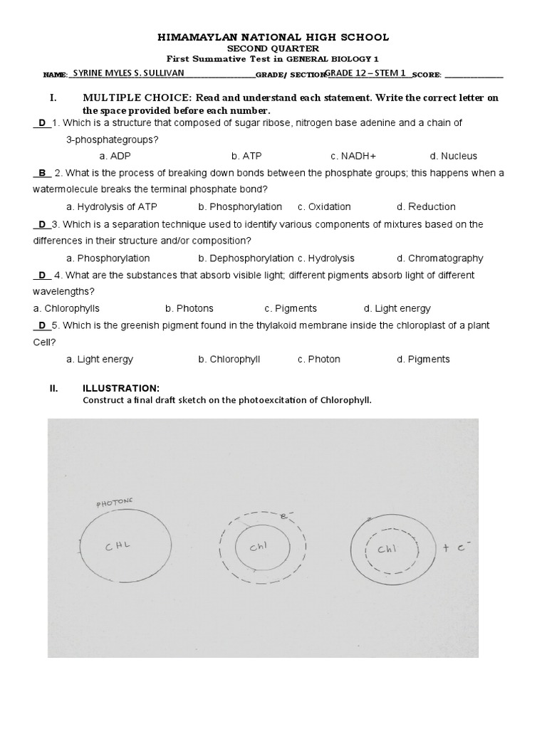 Gen Bio 1 - Quarter 2 Summative Test 1 | PDF | Adenosine Triphosphate ...