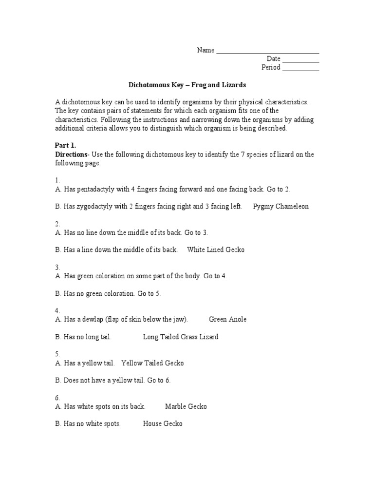 Dichotomous Key Lizards and Frogs | PDF