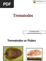 Mouse Parts | PDF | Organ (Anatomy) | Digestive System